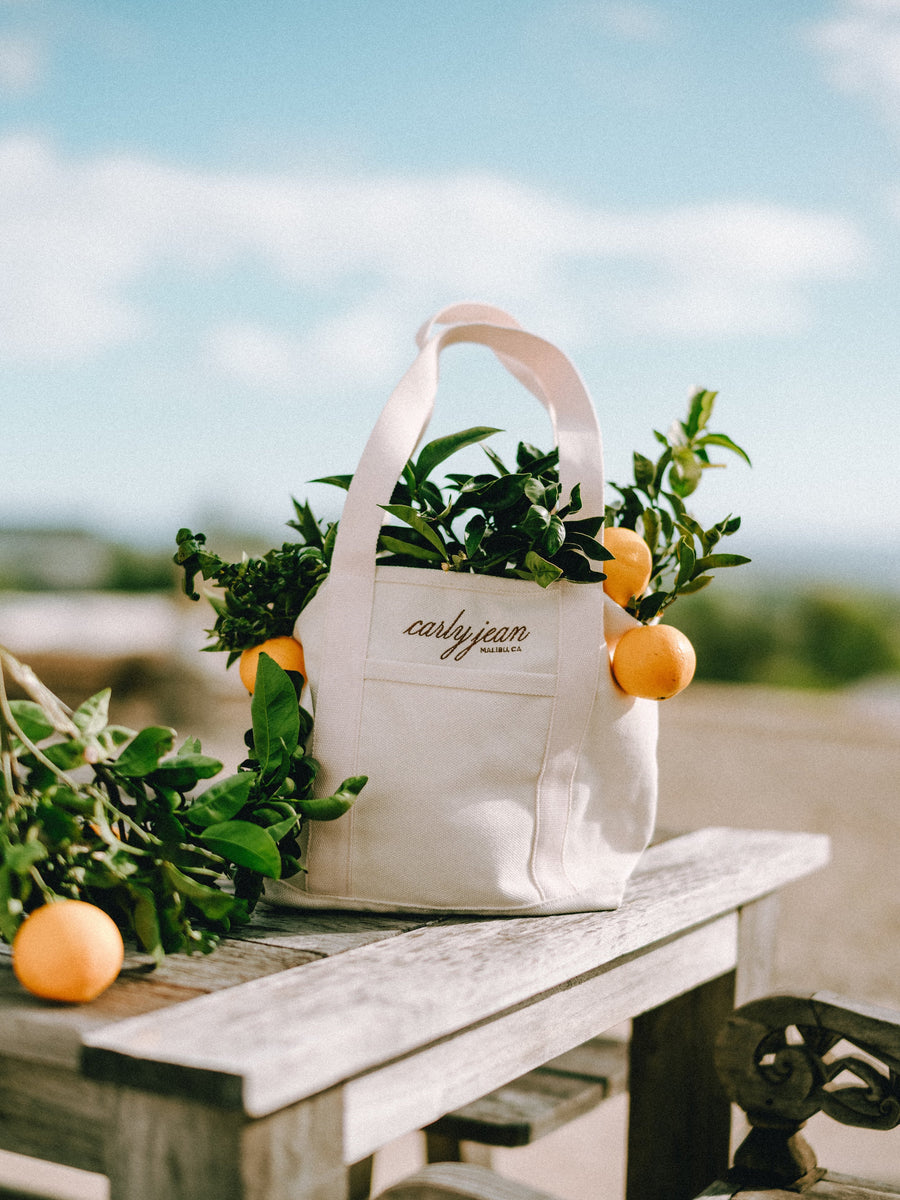Everyday Core Collection– CARLY JEAN LOS ANGELES